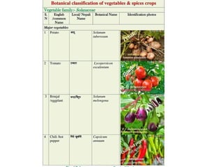 2. Classification of vegetable and spice crops.pptx