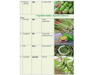 2. Classification of vegetable and spice crops.pptx