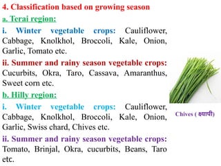 2. Classification of vegetable and spice crops.pptx