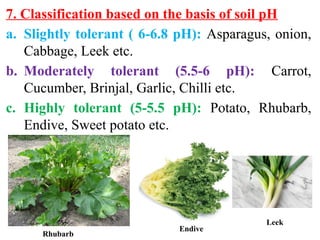 2. Classification of vegetable and spice crops.pptx