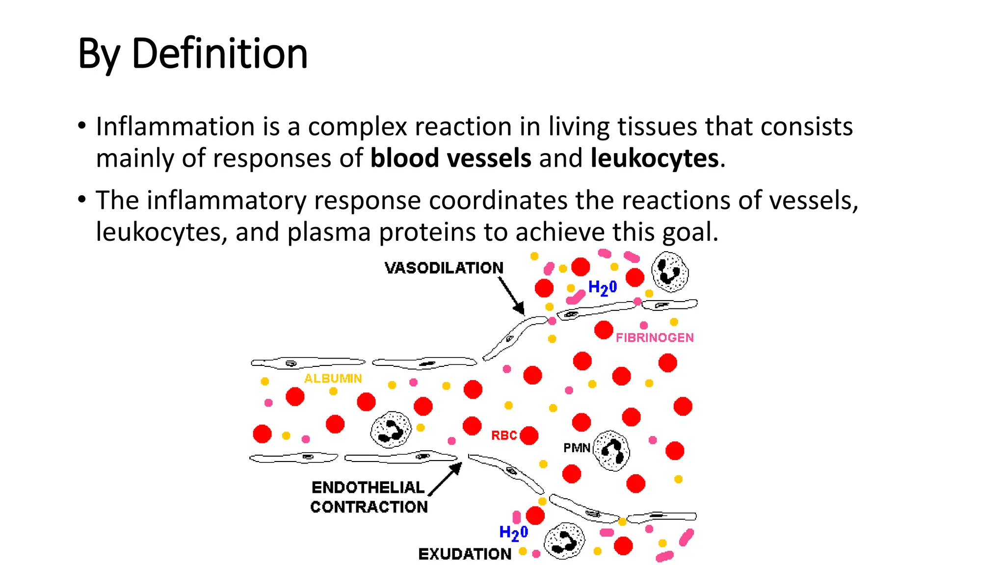 Inflammation physiology by Dr Omar.pdf