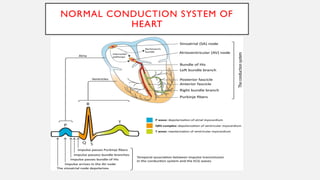 2. Atrial fibrillation ppt for medicine.pptx