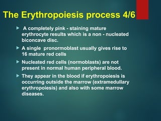 2. ERYTHROPOIESIS-1.ppt formation of the | PPT