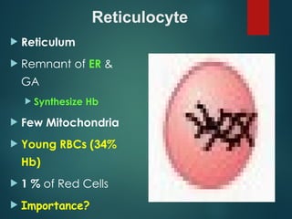 2. ERYTHROPOIESIS-1.ppt formation of the | PPT