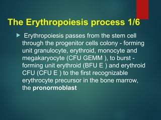 2. ERYTHROPOIESIS-1.ppt formation of the | PPT