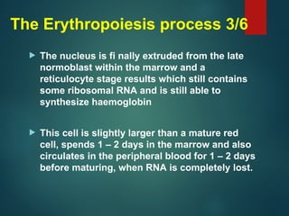 2. ERYTHROPOIESIS-1.ppt formation of the | PPT
