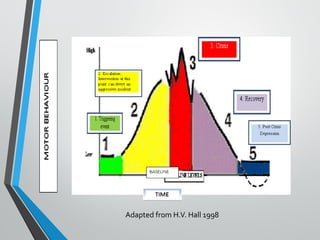 STAGES OF AGGRESSION, RISK FACTORS AND RISK ASSESSMENT.pdf