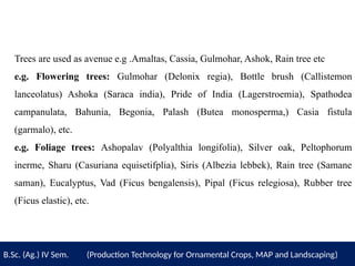 2. Principles of landscaping Landscape uses of trees shrubs and ...
