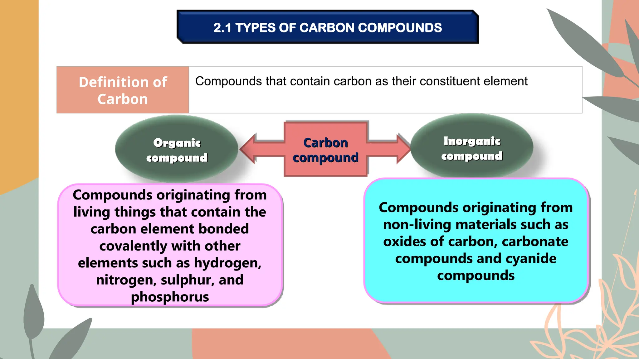 2.1 Types of Carbon Compounds.pptpptpptppt | PPT