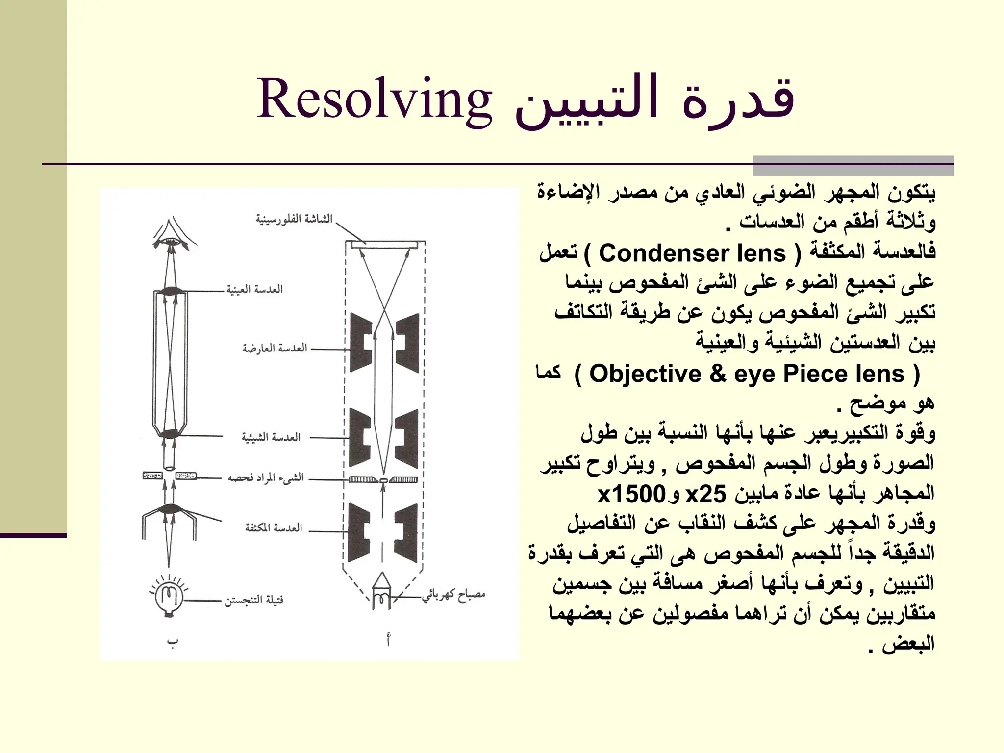 E- MICROSCOPE TECHNIQUES ADVANCED COURSE | PPT