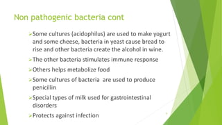 2. CLASSIFICATION OF BACTERIA Lecture.pdf