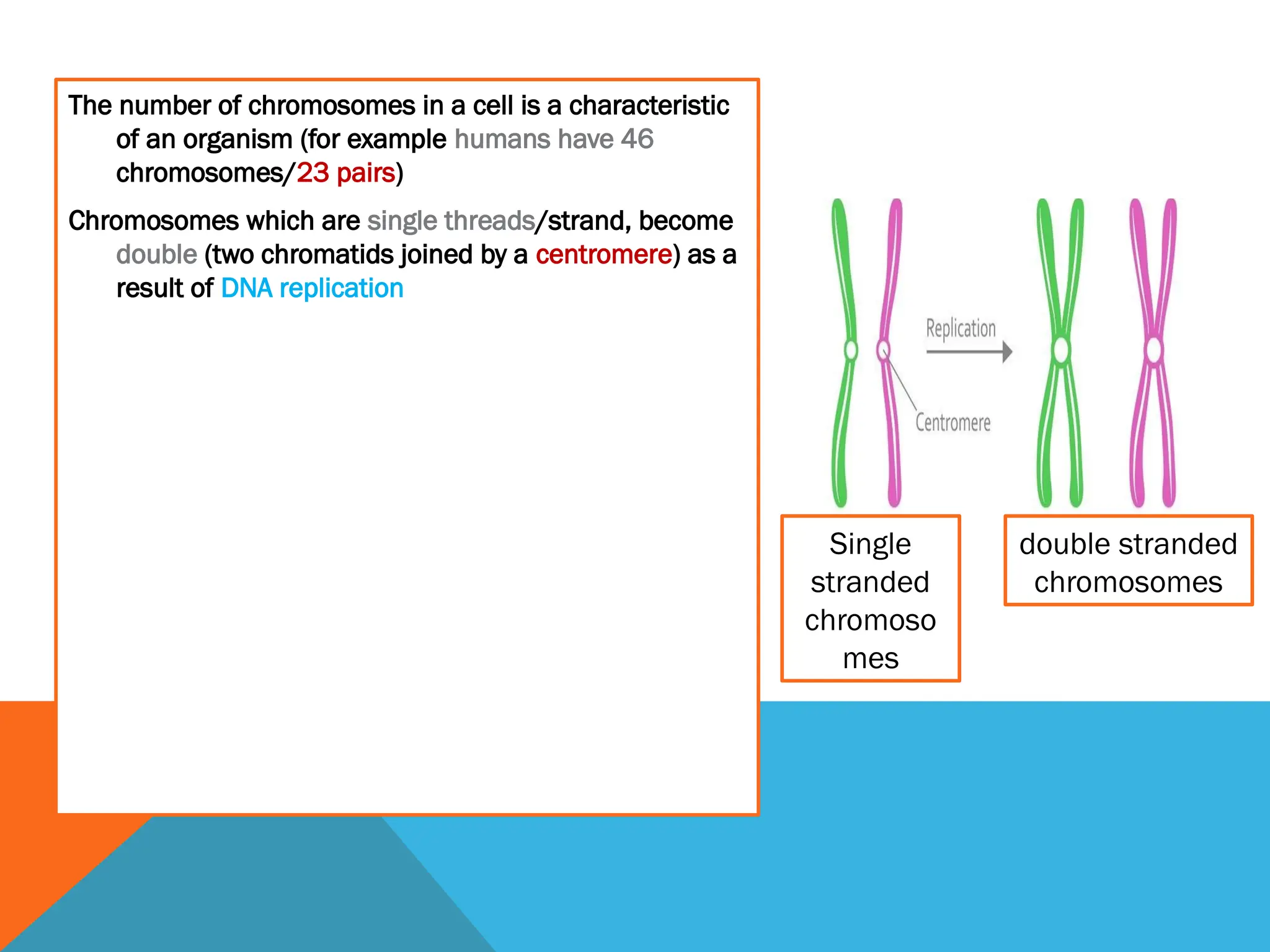 2.MEIOSIS Definition of Meiosis, differences between mitosis and ...