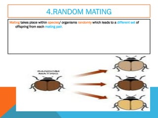 2.MEIOSIS Definition of Meiosis, differences between mitosis and ...