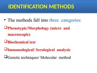 2. Identification of bacteria by biochemical reaction.pptx