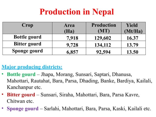 2. Bottle gourd, Bitter gourd and sponge Gourd.pptx