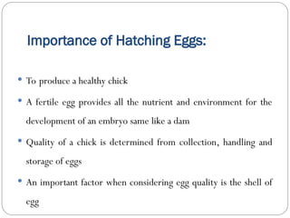2. Collection, Handling & Storage of Hatching Eggs.ppt