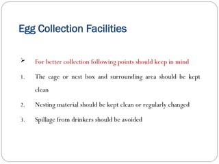 2. Collection, Handling & Storage of Hatching Eggs.ppt