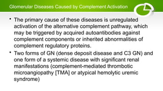 2. Glomerular Diseases.pptx guytom hall. | PPTX