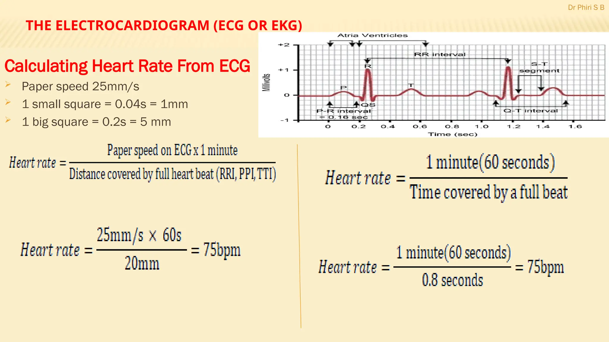 2. Circulatory lecture 2.pptx for university | PPTX