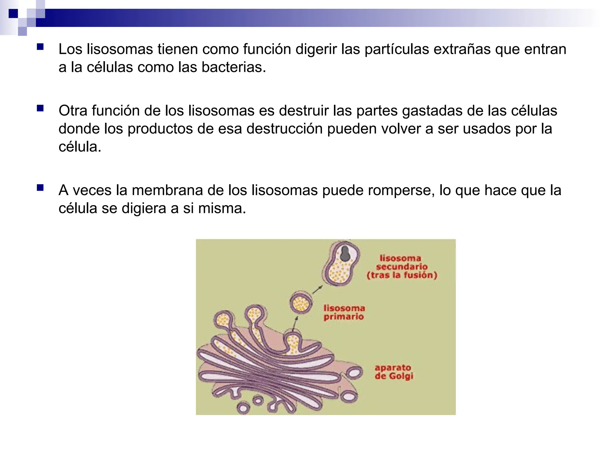 2.2.Estructura y función de las celulas - botanica | PPT