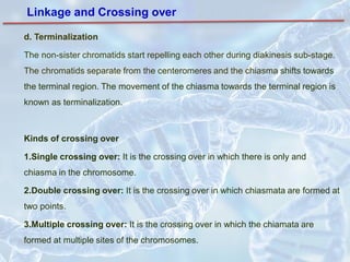 Grade 12 (_Linkage-and-crossing-over-2.pdf) | PPT