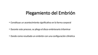 Embriologia, Plegamiento del Embrión 4a semana | PPTX