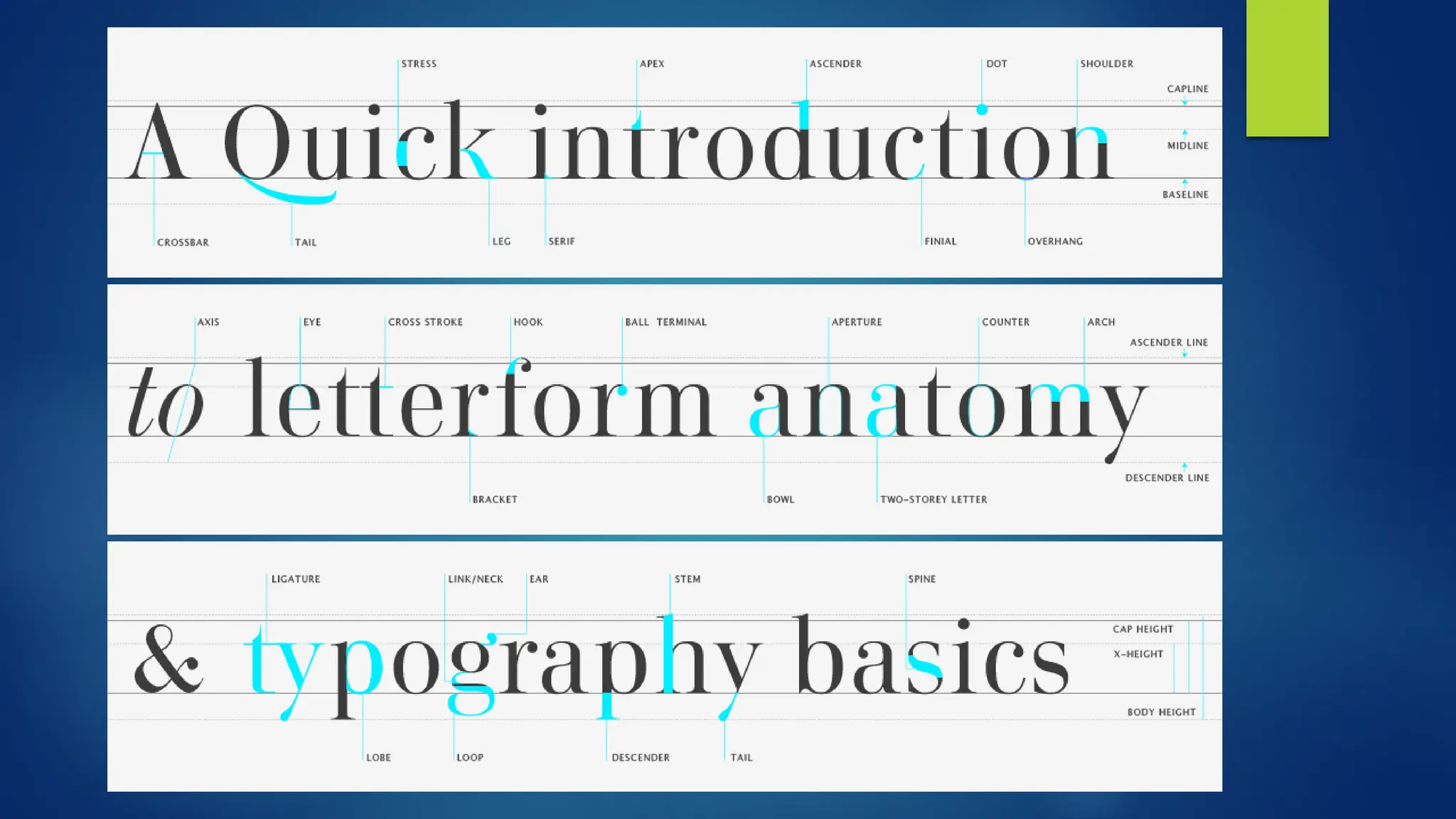 2. Anatomy of type 2. Anatomy of type 2. Anatomy of type | PDF