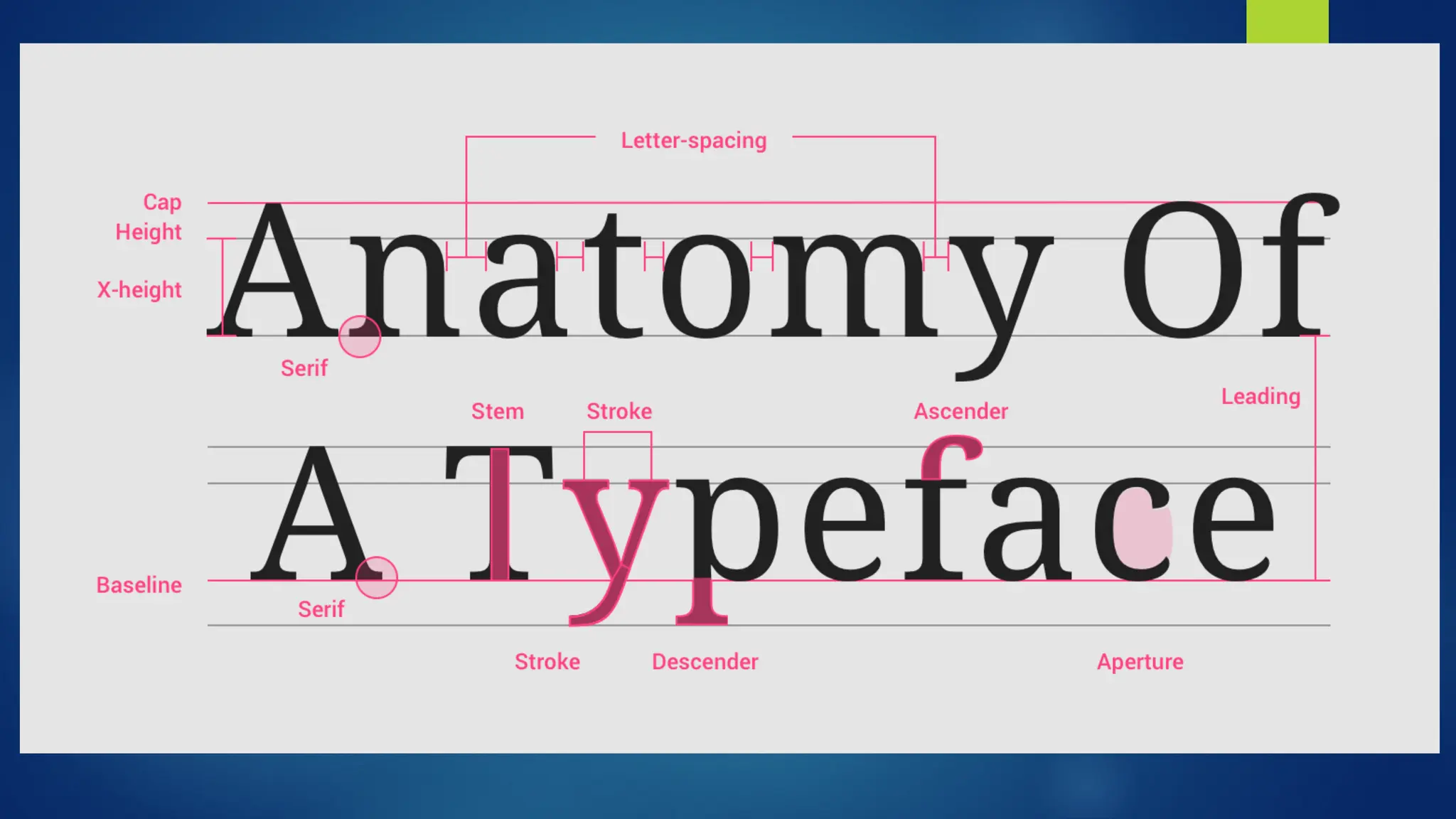2. Anatomy of type 2. Anatomy of type 2. Anatomy of type | PDF
