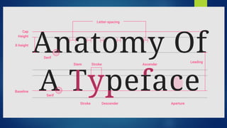 2. Anatomy of type 2. Anatomy of type 2. Anatomy of type | PDF