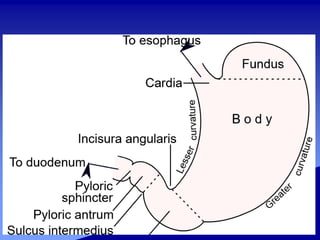 2.8 - Psychosomatic Disorder, Dr. dr. Agus Siswanto, SpPD, KPSI (2025).pdf