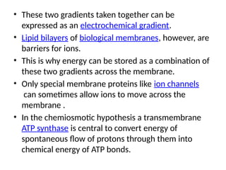 2.Proton-motive force.pptx for science project | PPTX