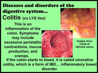 medical terminology lec2 that use in medicine.ppt