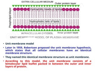 Plasma Membrane.pptx Dr Thirunahari Ugandhar | PPTX