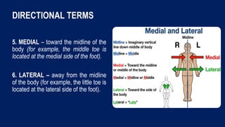 2.GeneralAnatomicalTerminology,MajorBodyRegions ...