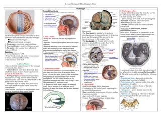 2. (Ana) Meninges & Blood Supply to Brain.pdf