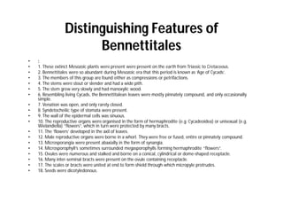 2.2_SDN_Bennettitales.pdf gymnosperms bennittittales | PDF