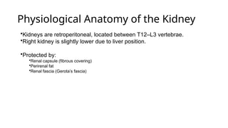 RENAL PHYSIOLOGY-DETAILED OVERVIEW-RENAL PHYSIOLOGYpptx | PPTX