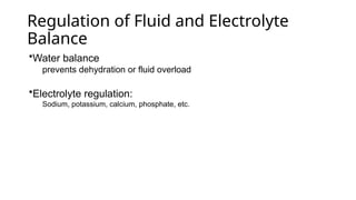 RENAL PHYSIOLOGY-DETAILED OVERVIEW-RENAL PHYSIOLOGYpptx | PPTX