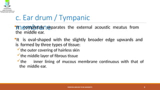 2. THE EAR.pptx. human anatomy physiology | PPTX