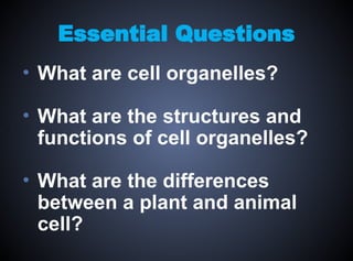 2. CELL ORGANELLES AND FUNCTIONS.pptx