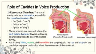 2.5 Role of Nasal & Pharyngeal Cavity in Voice Production (aqsa mehsood ...