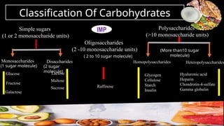 Carbohydrates Biochemistry Department ... | PPTX