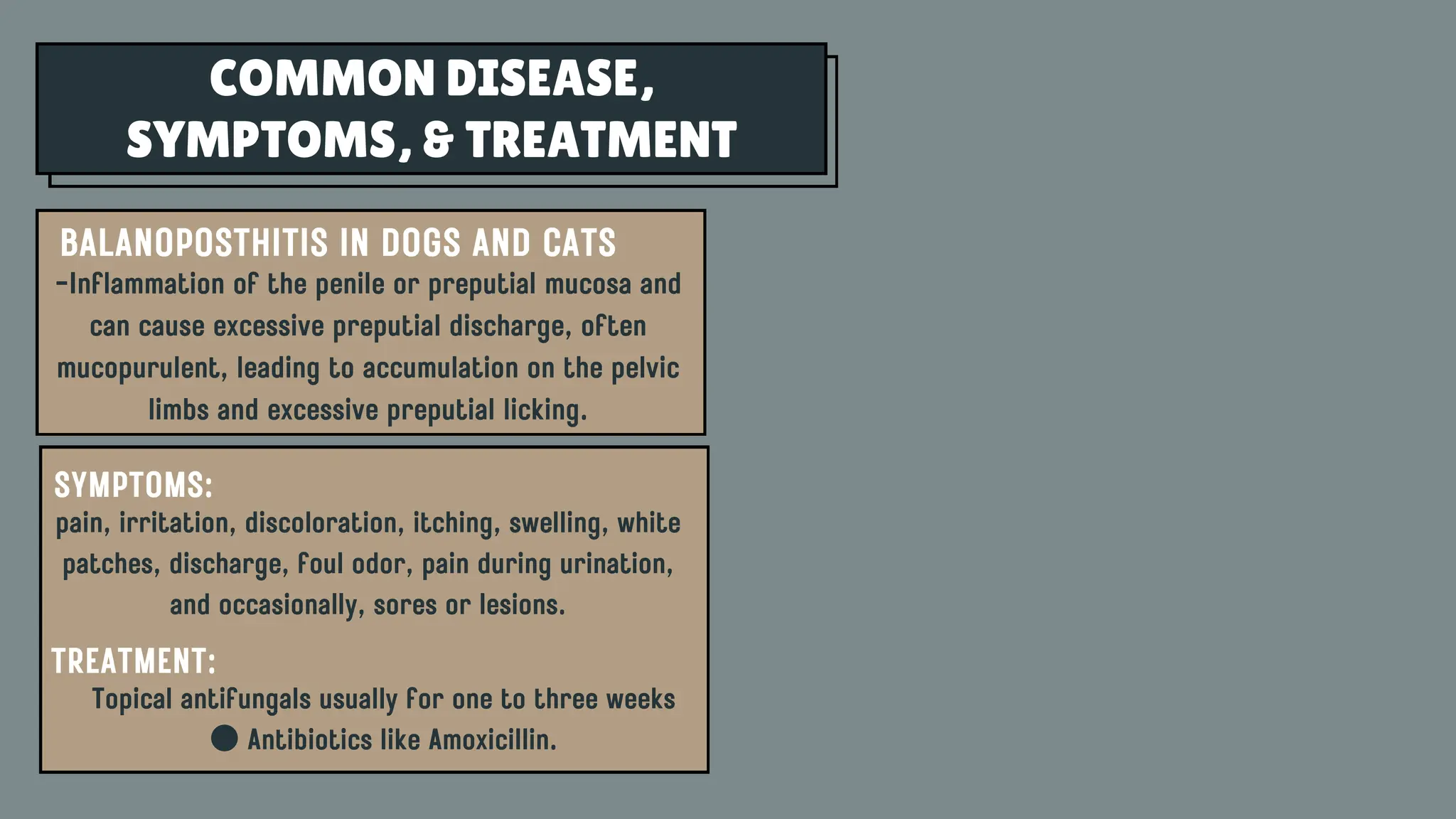2. -Group-4-Reporting. SEXUAL REPRODUCTION | PDF