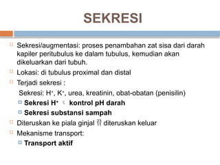 2. Anatomi Fisiologi Manusia Sistem Urinaria 2022.pptx