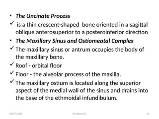 2. Anatomy of Nose and PNS is a basic science on medicine.pptx