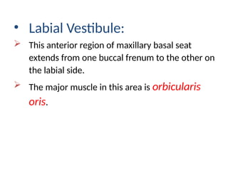 2. anatomic landmarks PROSTHODONTICS(1).pptx