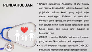 2. embriologi dan introduction CAKUT.pptx