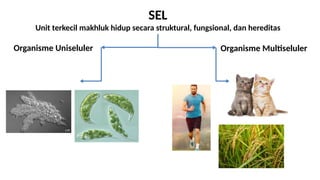 2. Struktur dan Fungsi Sel Materi Kelas 7 up.pptx