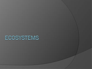 2.-Ecosystem-Food-Chain-and-Food-Web.ppt