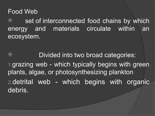 2.-Ecosystem-Food-Chain-and-Food-Web.ppt